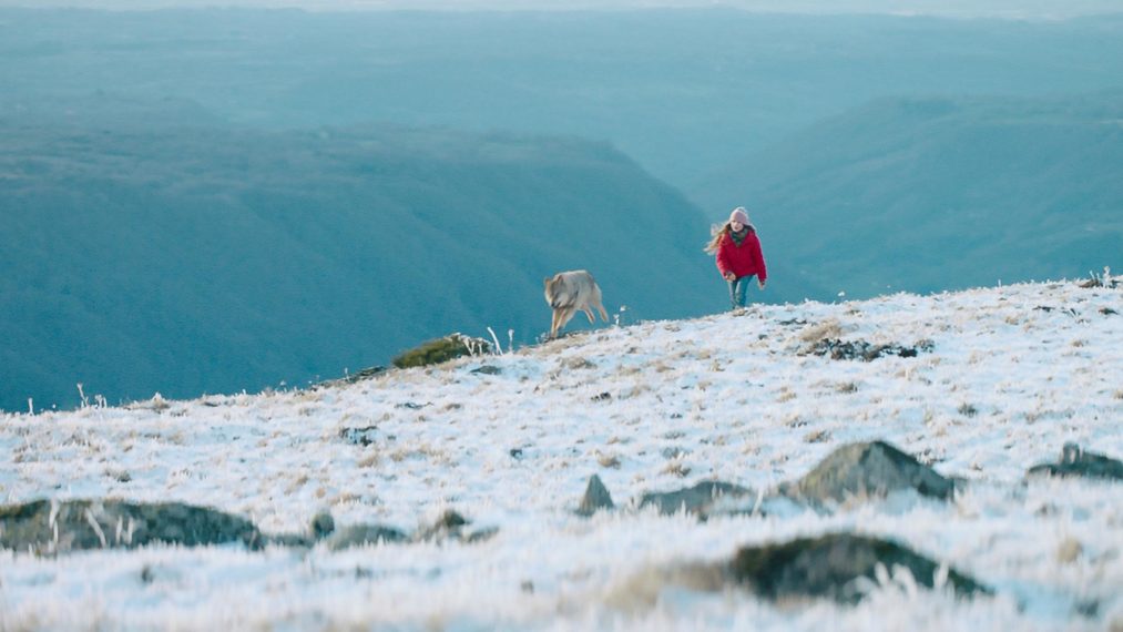 MYSTÈRE - Operandi MGMT
